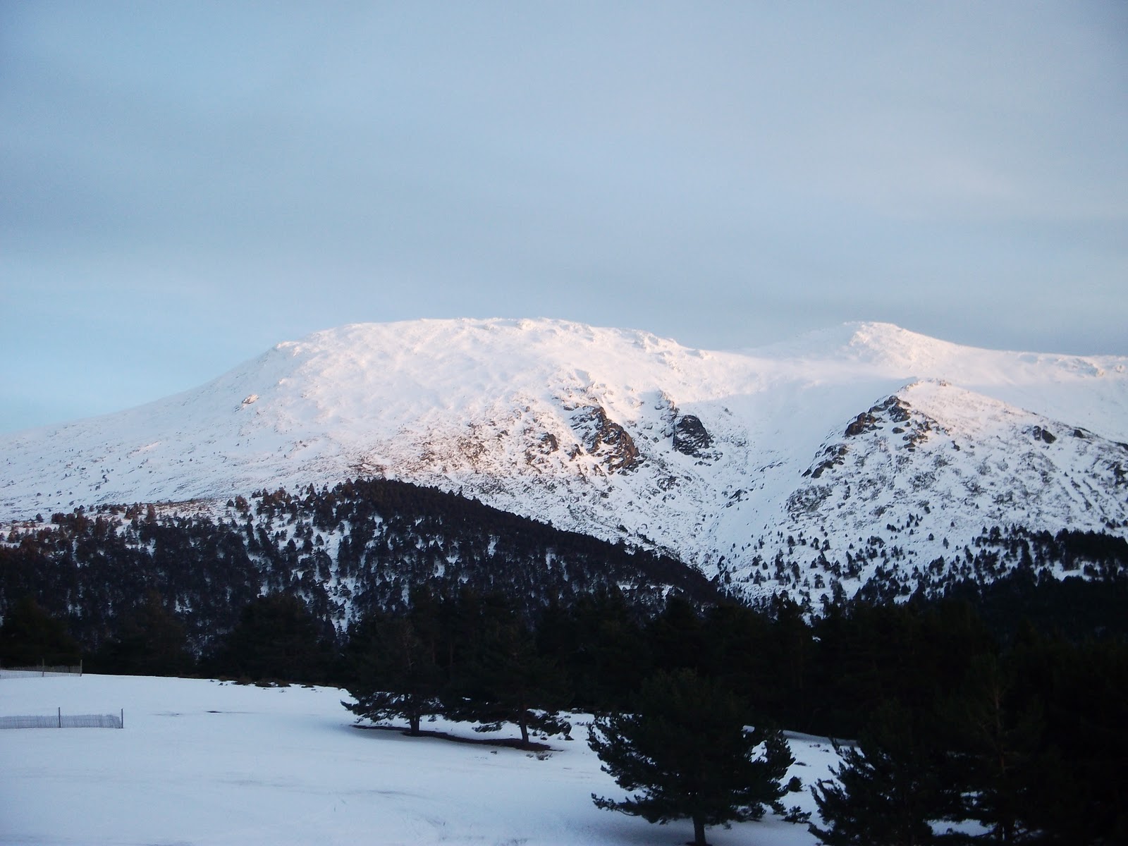 BLOGNATURA: PUERTO DE COTOS, UNA TARDE DE INVIERNO.