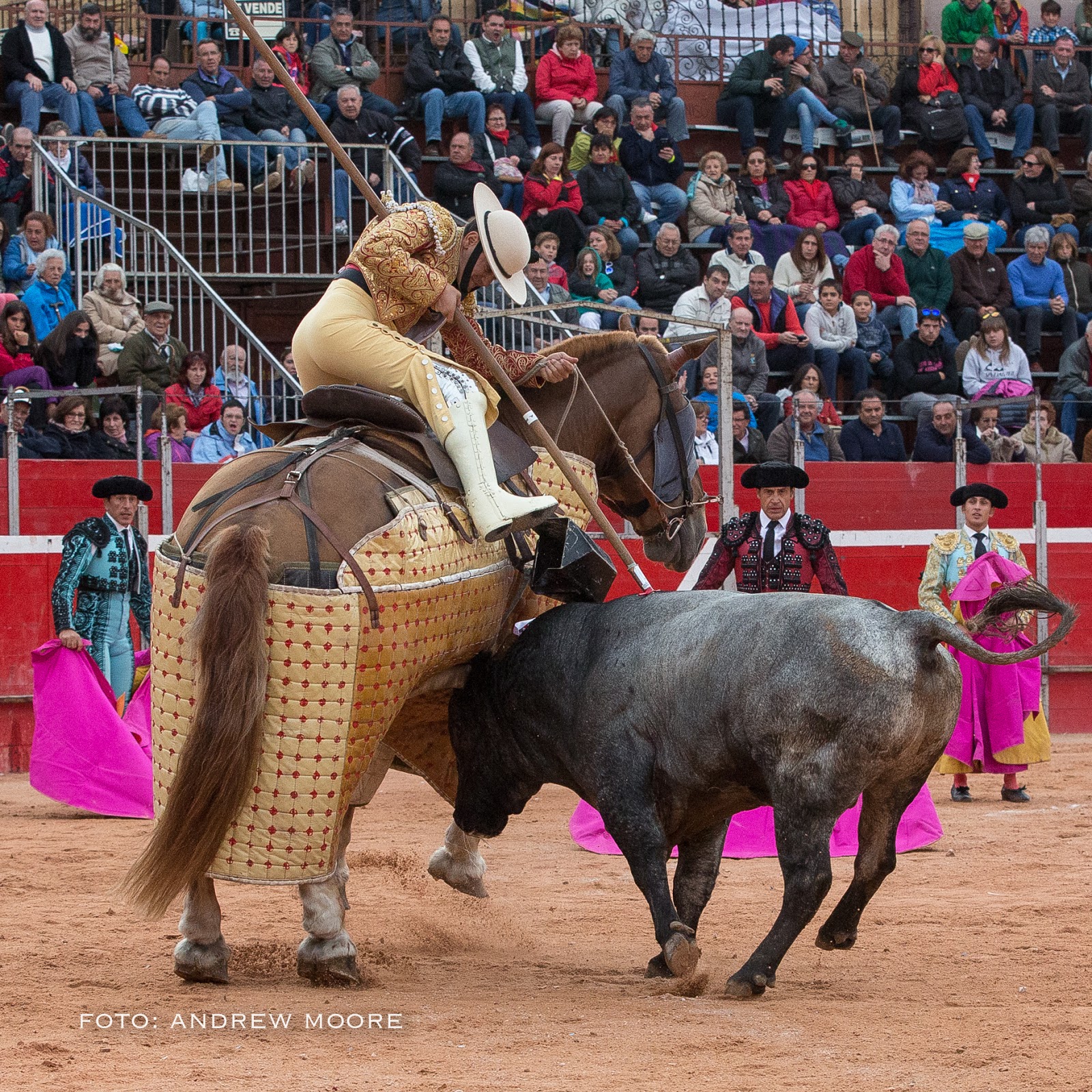 RIAZA, FIESTAS DEL TORO (y II). TOROS TODO EL DÍA