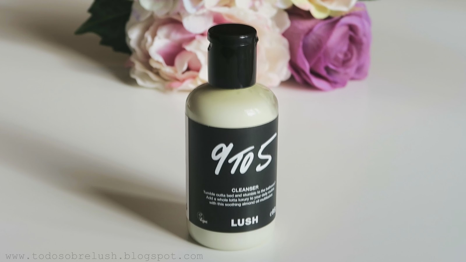 Todo sobre Lush: LUSH 9 TO 5 review desmaquillante