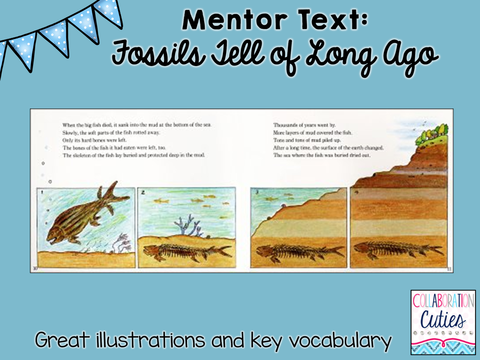 Collaboration Cuties: Fossils Tell of Long Ago- Monday's Must Read ...