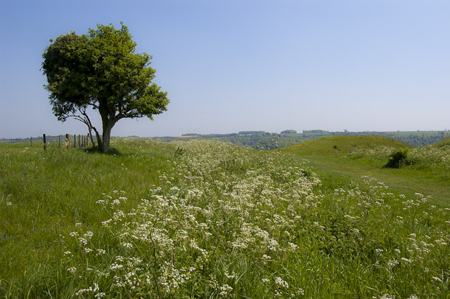 Sulis Manoeuvre: A walk in the sacred landscape: Uley