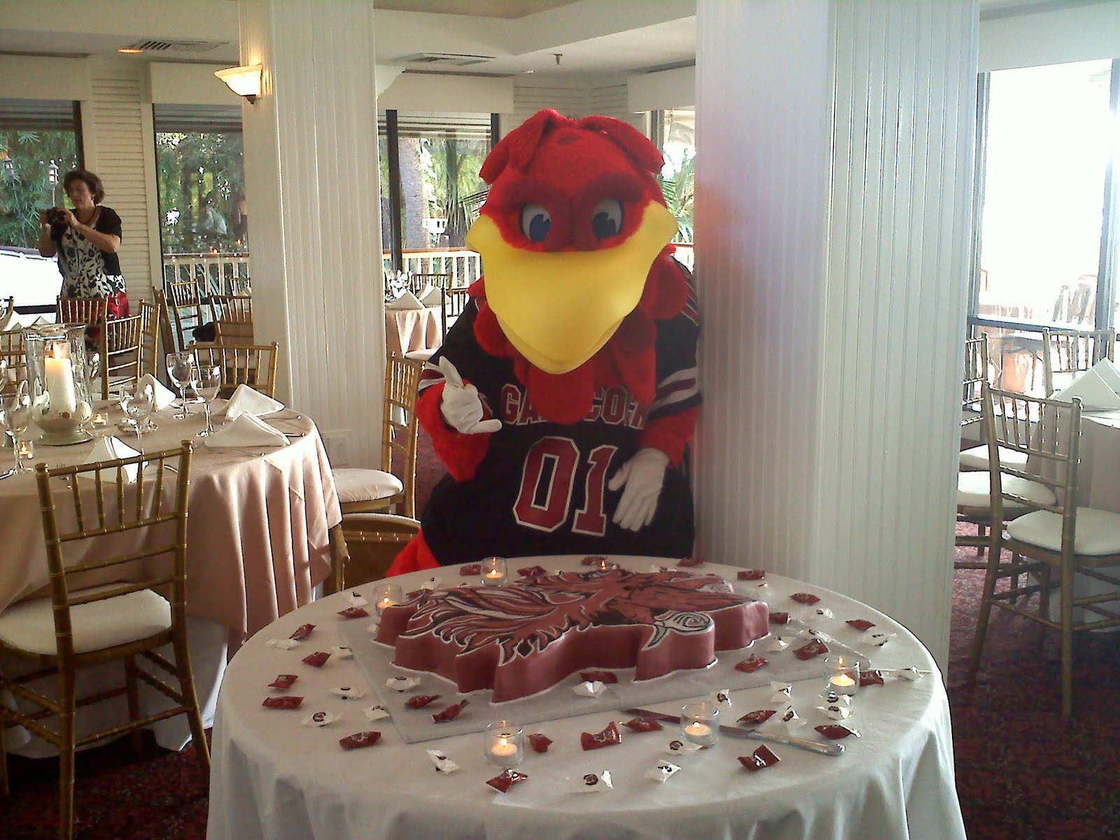 Sheri's Edible Designs: 'Themed' Cakes