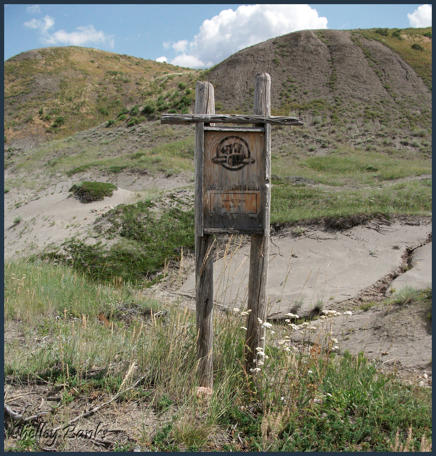 Prairie Nature: I don't know where I am, but I like it...