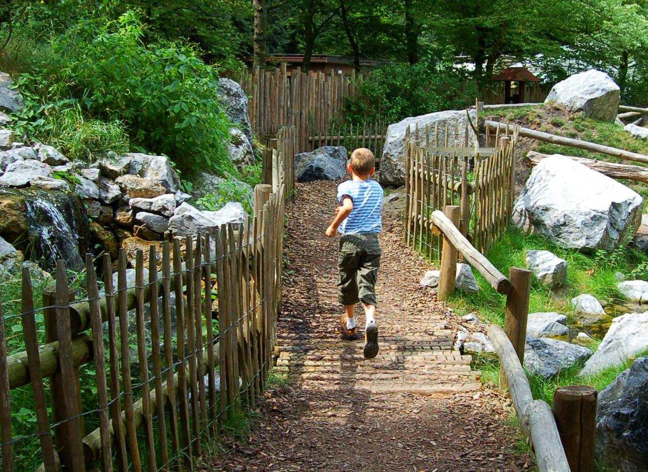 Zoo and Aquarium Design: Children's Paths: A How to Guide