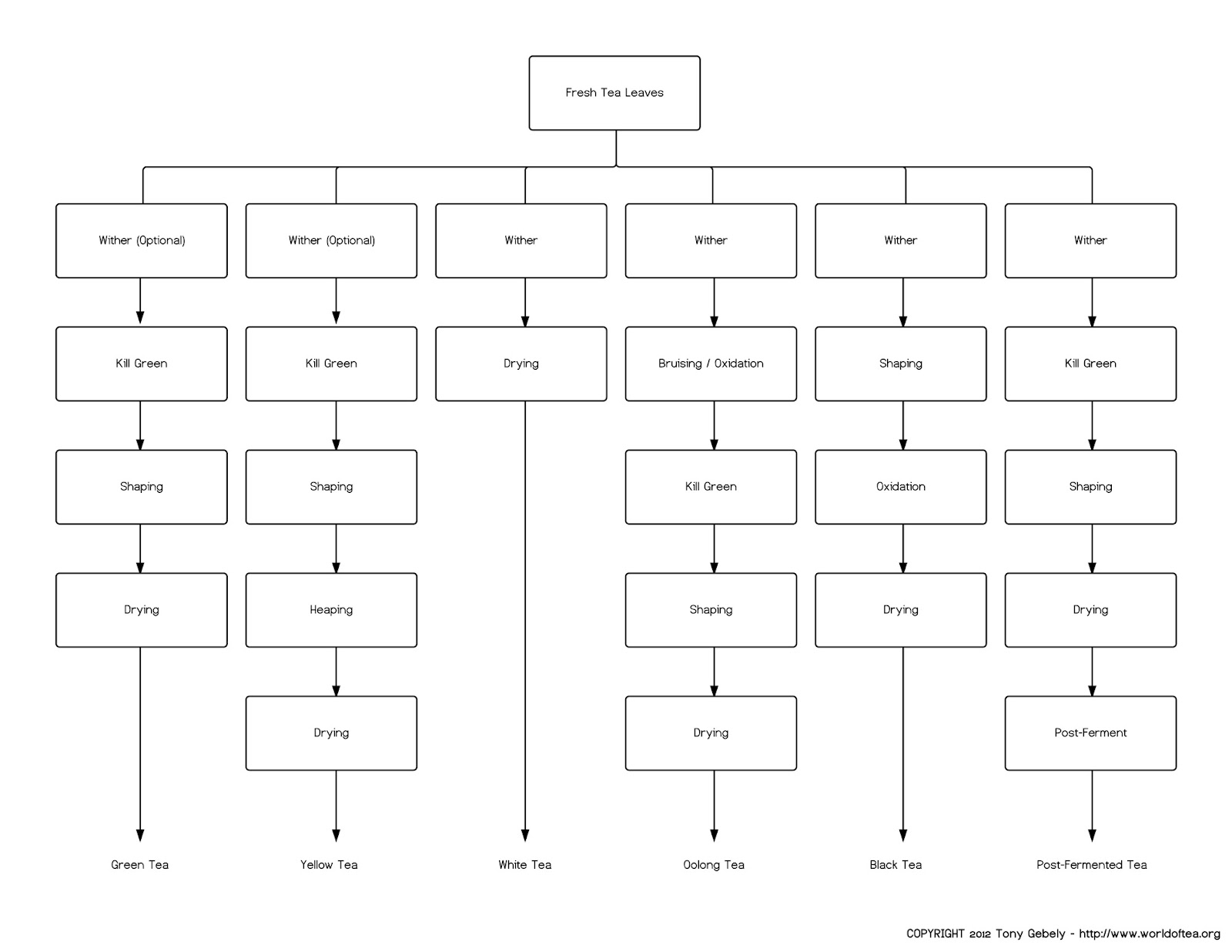 teasquared: Charting the processes of tea types