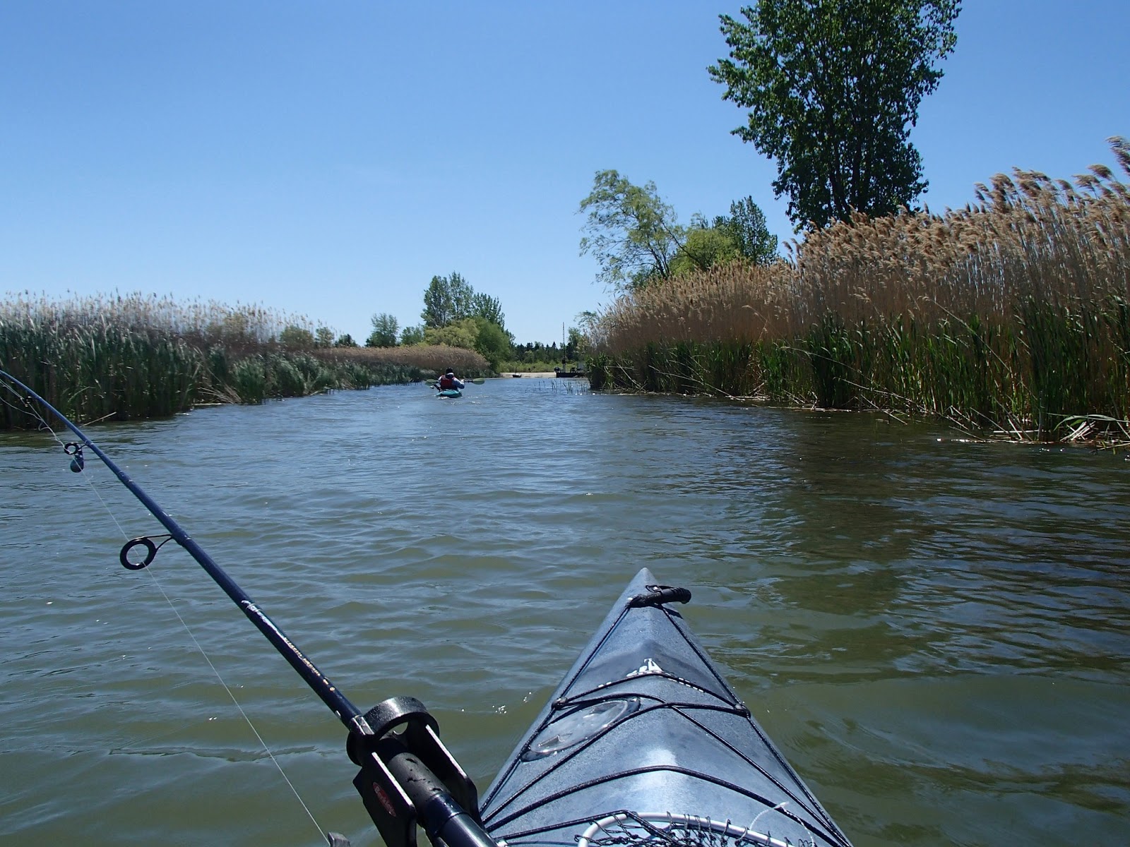 kayaker67adventures: Long Point Provincial Park Kayaking