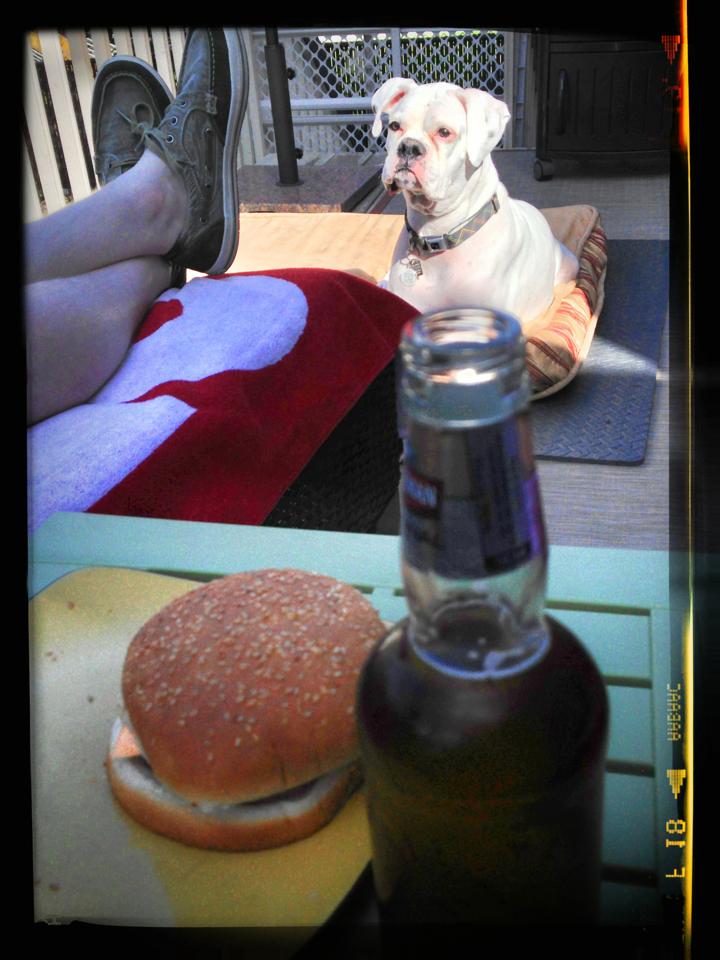 Poooh Busters Blog: Saturday - "B" is for Boxer