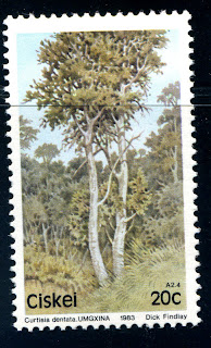 BIODIVERSIDAD FORESTAL: Biodiversidad Forestal (CISKEY)