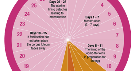 Senang Hamil: Bagaimana Cara Kira Kitar Haid Dengan Mudah