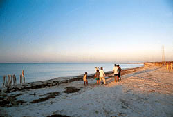 Ecoturismo México: Sabancuy - Campeche