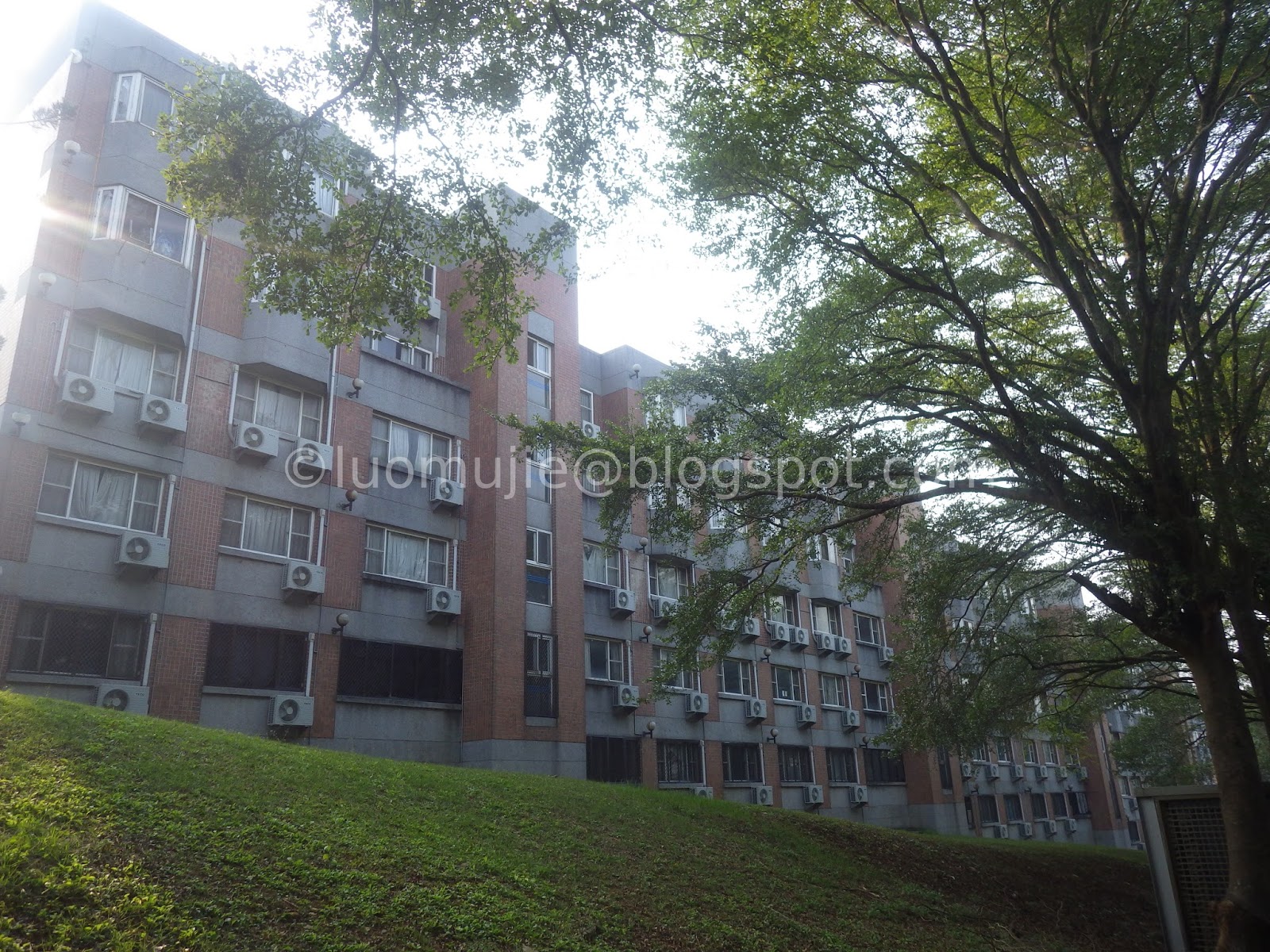 Meteor Garden (流星花園) real-life university - National Chung Cheng ...