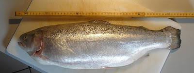 Kulinarische Welten zu Fisch- und Meeresfrucht: Fjord-Forelle mit ...