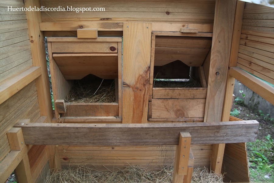 Cómo hacer un gallinero paso a paso | Plantas