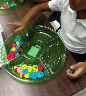 Growing Little Minds: Categorizing and Sorting in Kindergarten