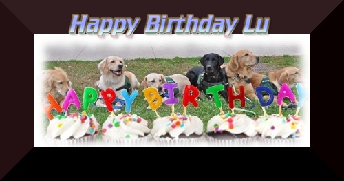 ECAD Service Dogs: Happy Birthday Lu!