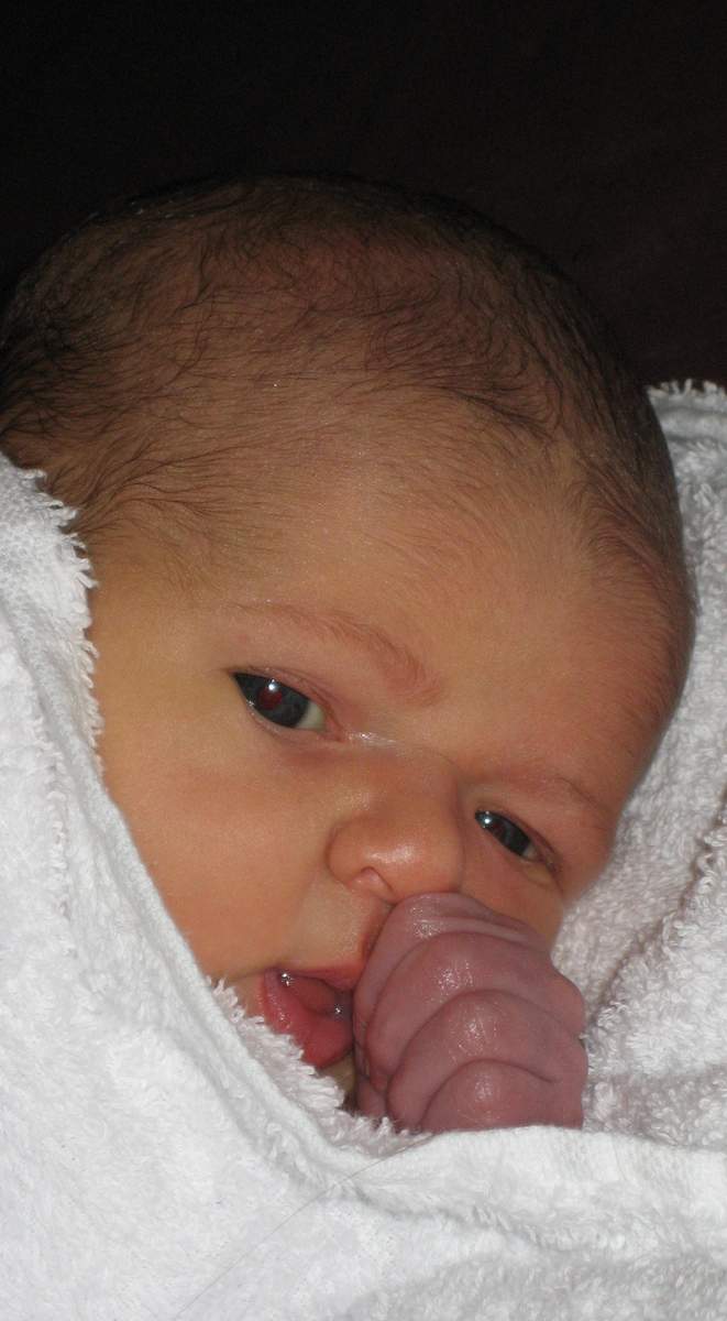 Life with Beals: Hands