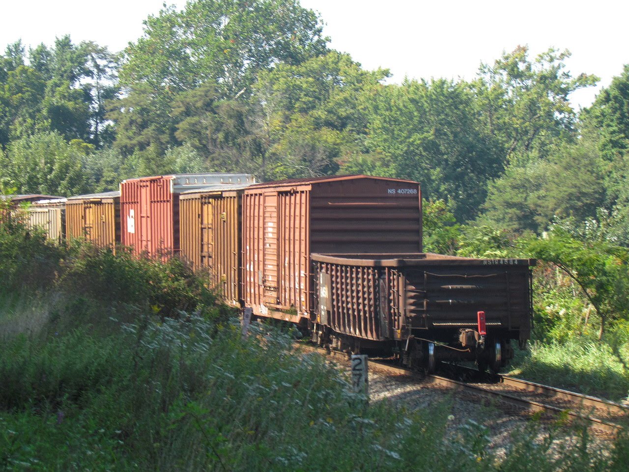 PHOTOS: BUFFALO LINE