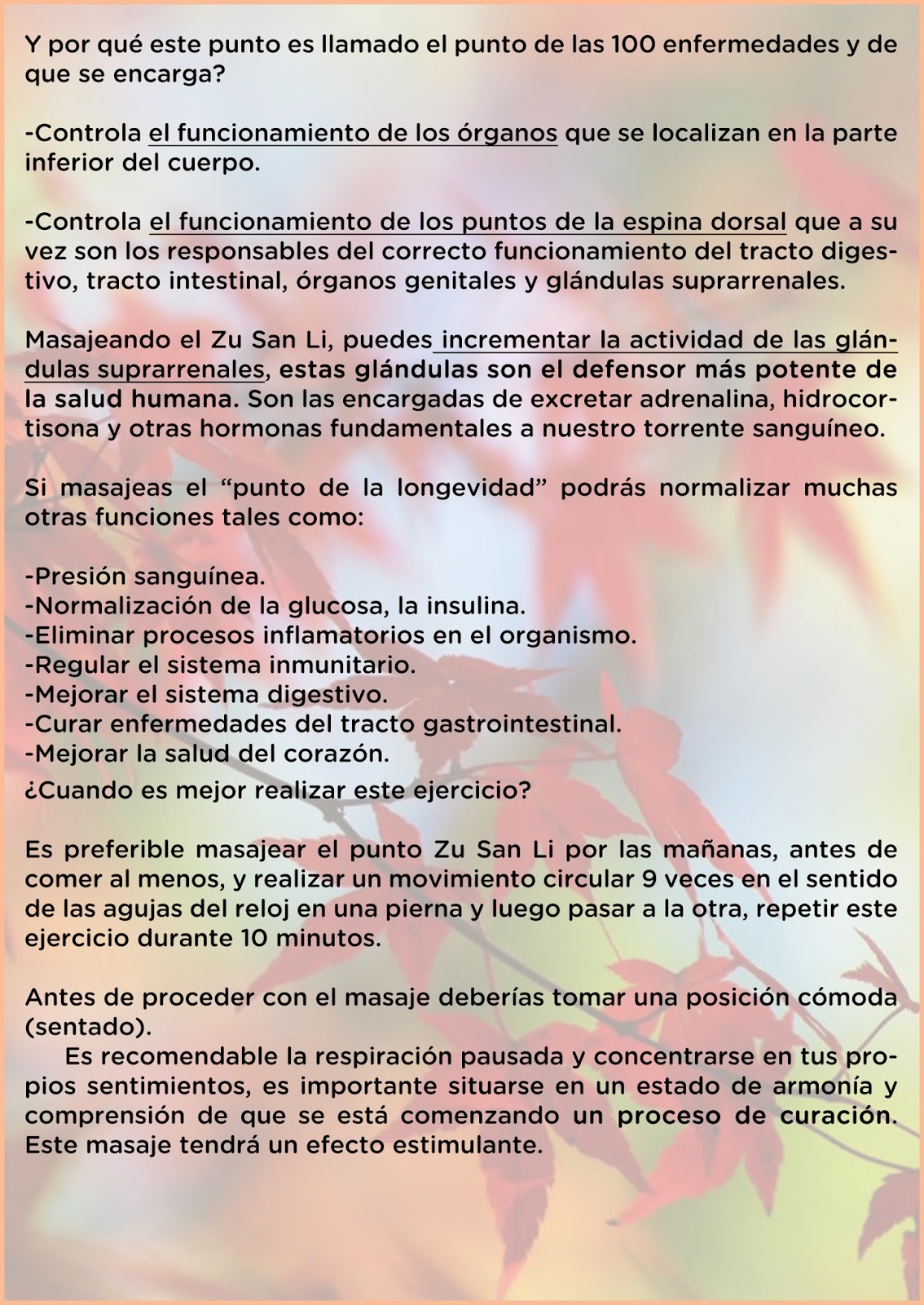 Que Es El Punto Zu San Li - Solo Para Adultos En Cuba