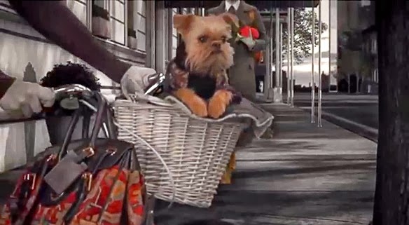 Shelter DOGS Star in STUNNING CGI TV AD! | BOLD and UNUSUAL DOG Stories ...