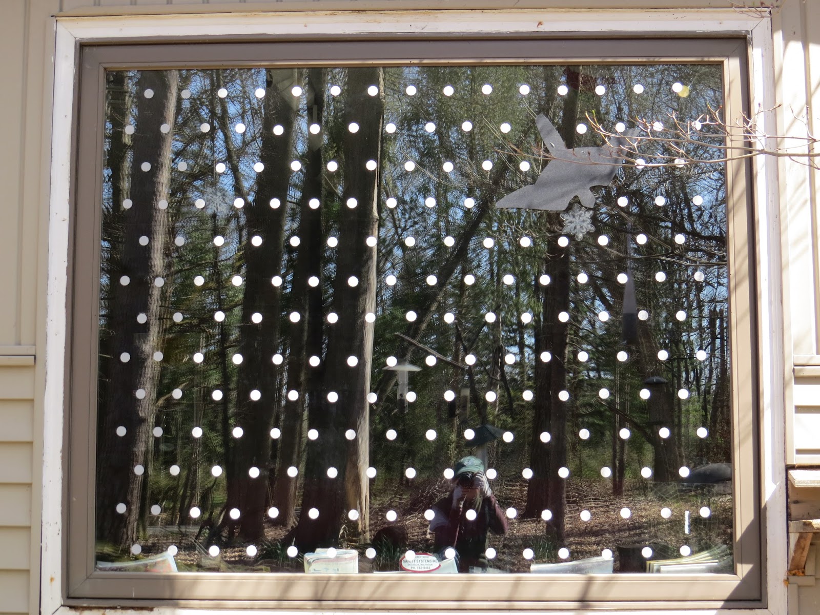 Washtenaw Safe Passage: DIY: Bird Safe Windows