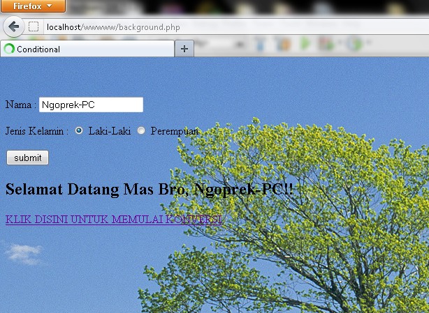 Looking For Computer Mistery: PHP | Konversi bilangan (Biner, Hexa, Okta) dengan Login