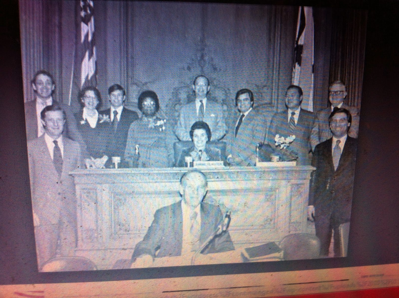 THE BLACK SOCIAL HISTORY:: BLACK SOCIAL HISTORY : AMERICAN " CAROL RUTH ...