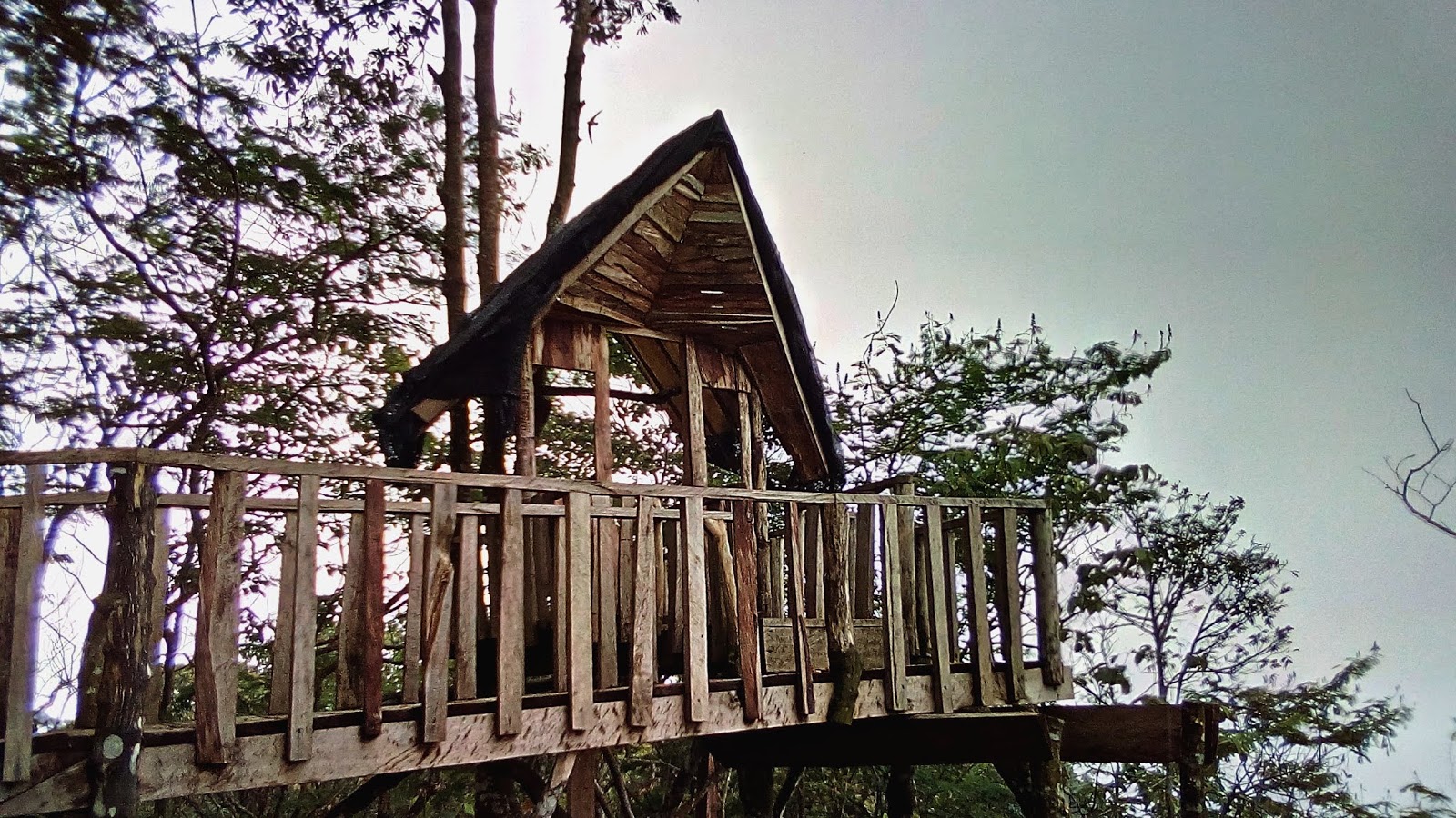 Explore Tempat Instagrameble di Cangar