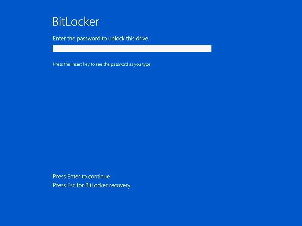 BitLocker