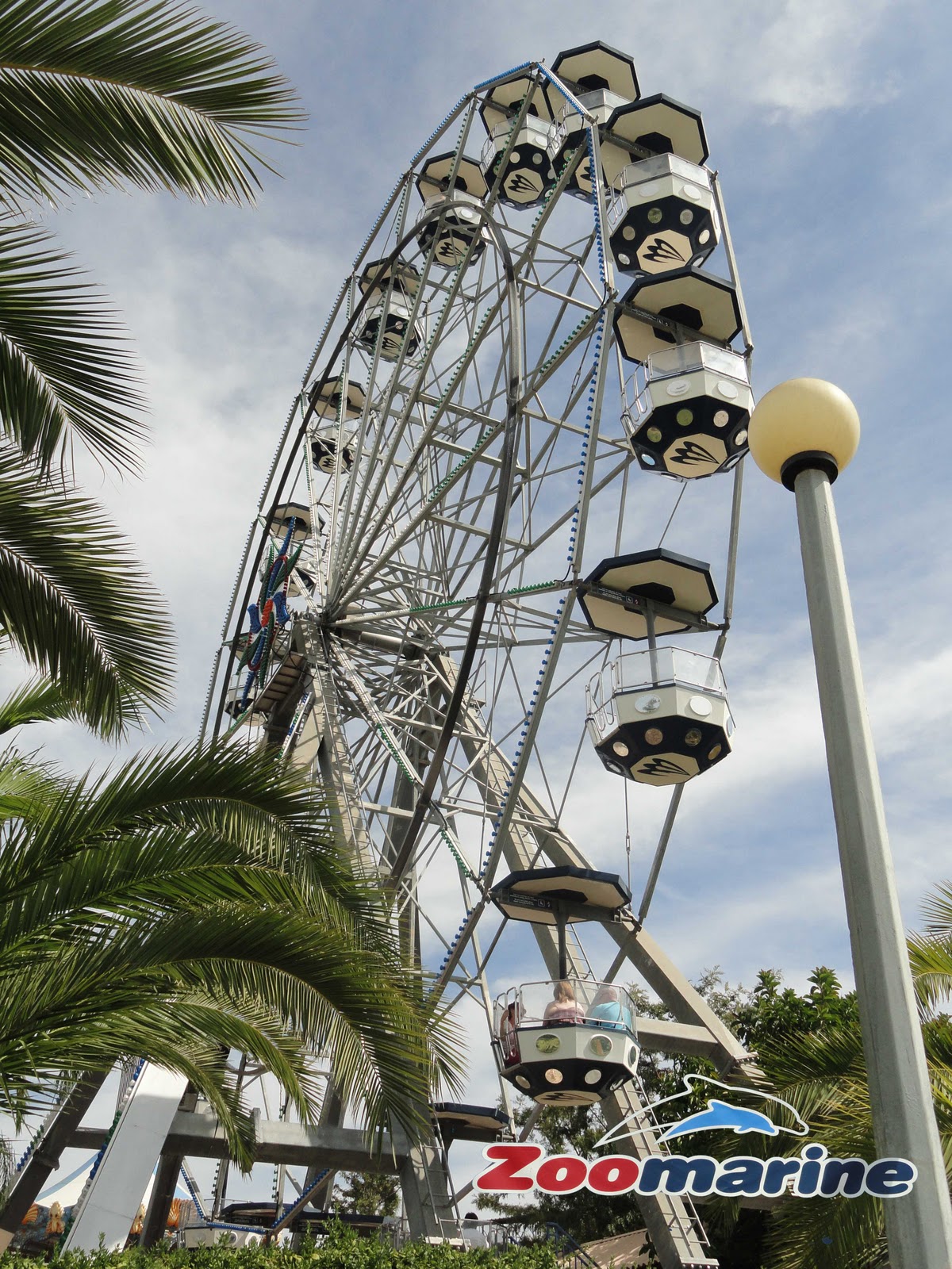 Viajar só?: Zoomarine (Algarve)