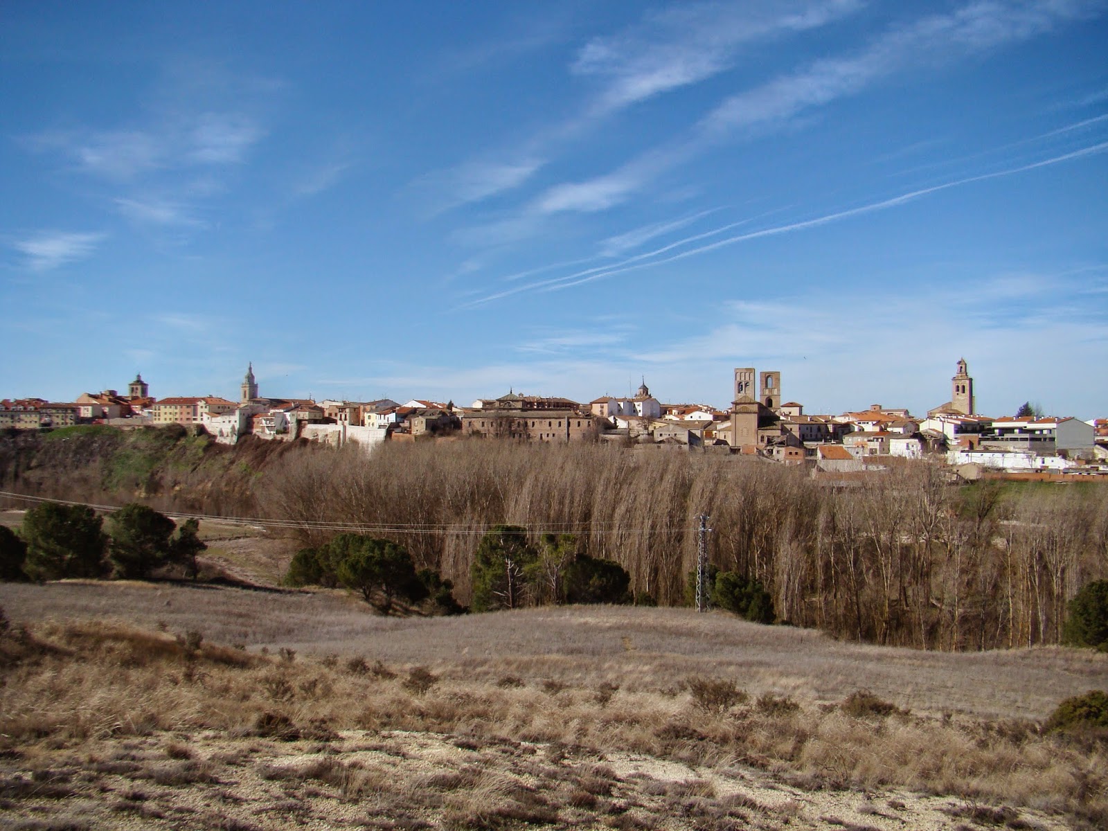Arevaceos: REFORESTACIONES HISTÓRICAS EN ARÉVALO