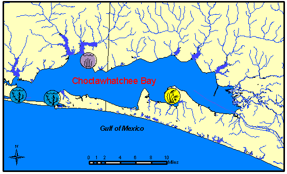 Lollygag AFTER The Loop: 11/20/11 - 11/27/11