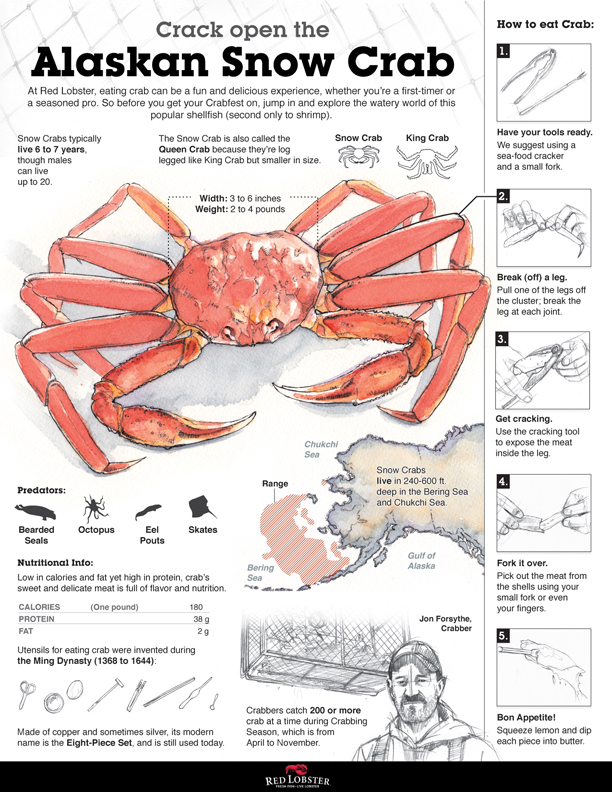 Mike Sudal field notes: Red Lobster Crab Fest: a Facebook infographic story