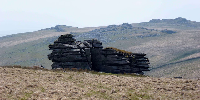 My Dartmoor Walks: Sunday 20th May Crow Tor