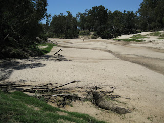 Robin's Double Life: Maranoa River in flood, a formidable force
