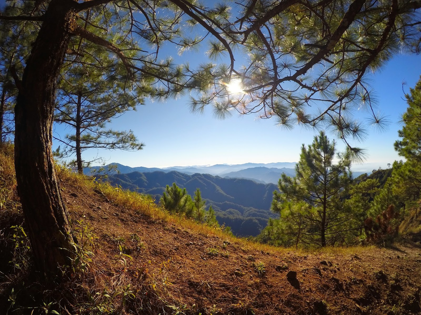 Mt. Ulap Eco Trail Travel Guide - moredantravels