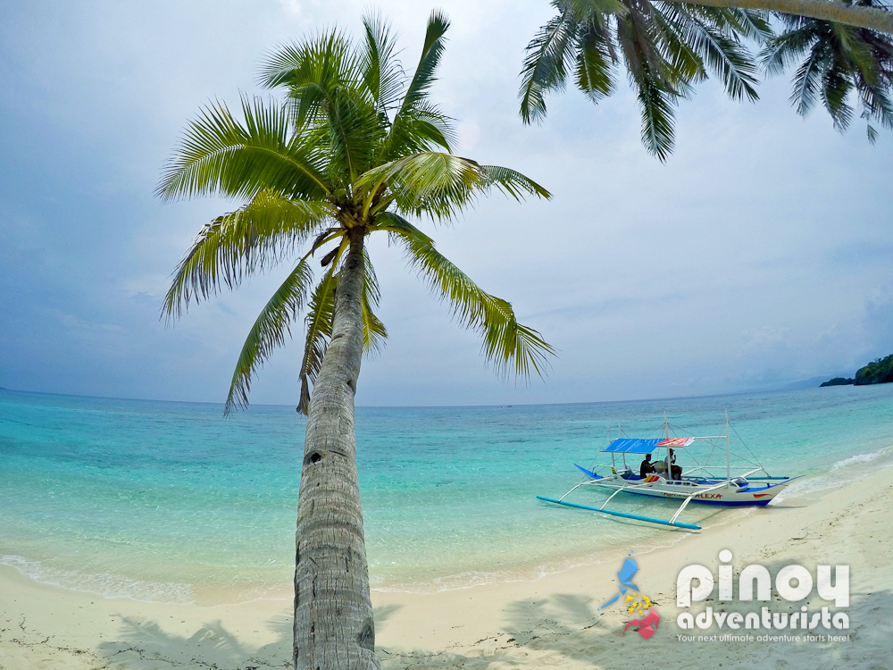 TRAVEL GUIDE: How to Get to Carabao Island in Romblon from Boracay ...