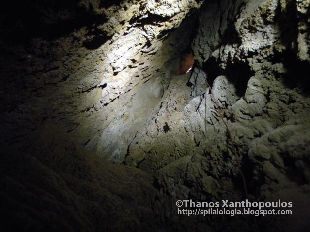 ΣΠΗΛΑΙΟΛΟΓΙΑ - SPELEOLOGY IN GREECE : ΒΑΡΑΘΡΟ ΚΟΡΑΚΟΒΟΥΝΙ ΥΜΗΤΤΟΣ