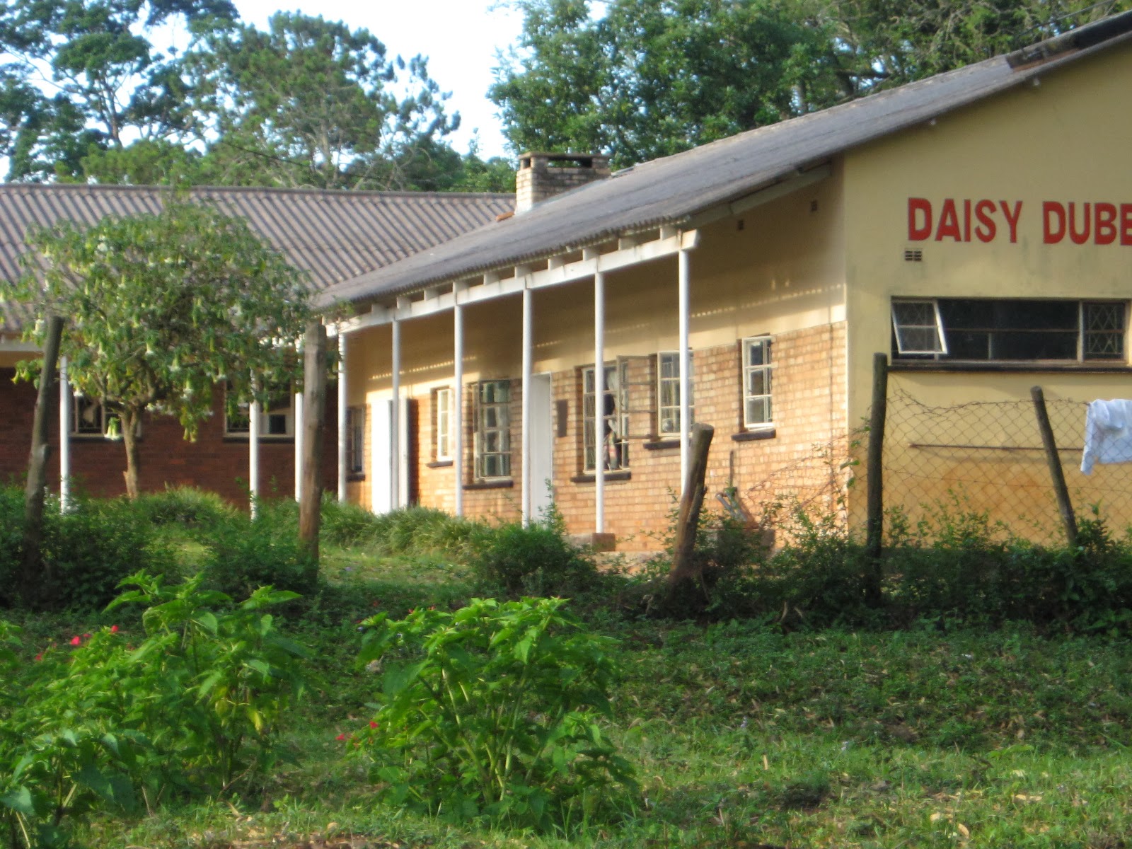 Reflections: January 2014