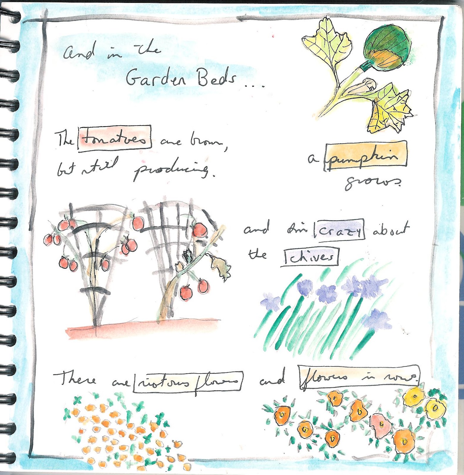 Gallo Organico: PPF: Backyard Field Journal