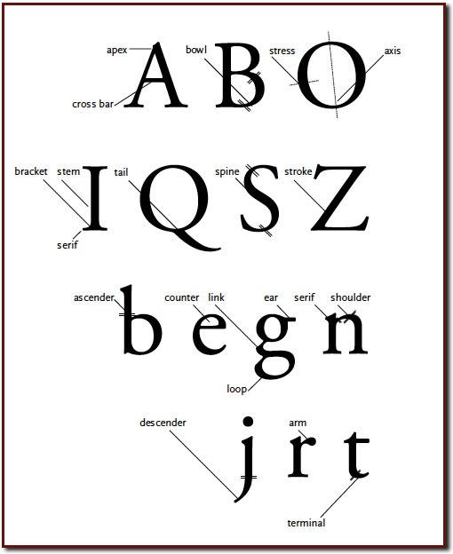 Typography Katie Turner Type Glossary