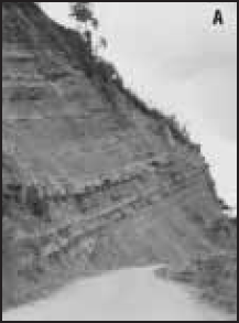 Avibert: Información de Campo Origen y formación del Petróleo