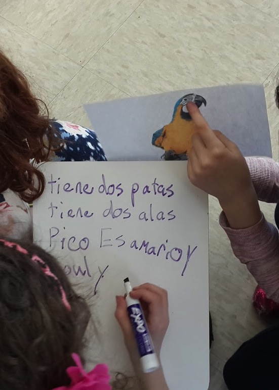 Proficiency From The Start: Climbing the Proficiency Ladder Starting in ...