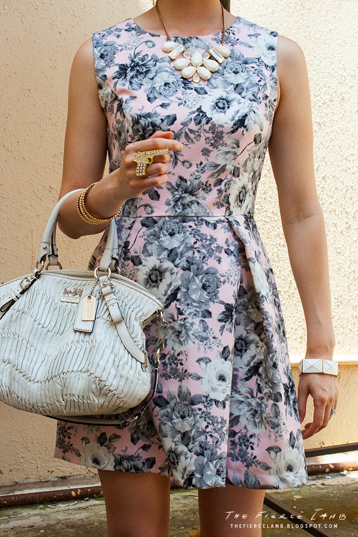 The Fierce Lamb: Don't Choose, Be Chosen