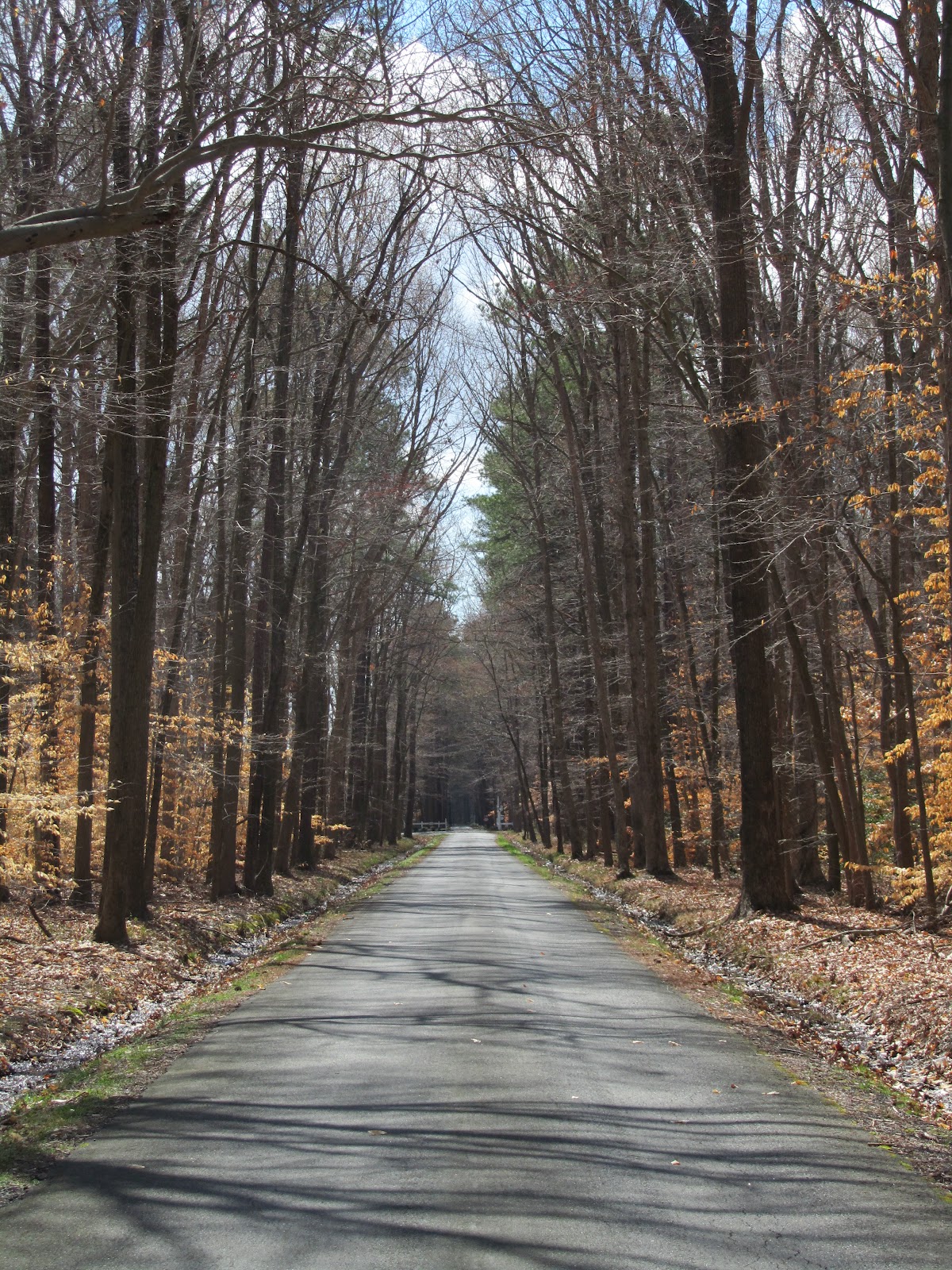 BarnBugStudio: SCENES FROM COUNTRY ROADS