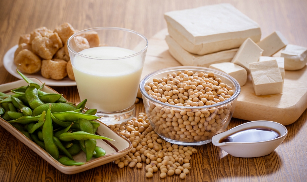 Fitoestrógenos: Benefícios e Riscos