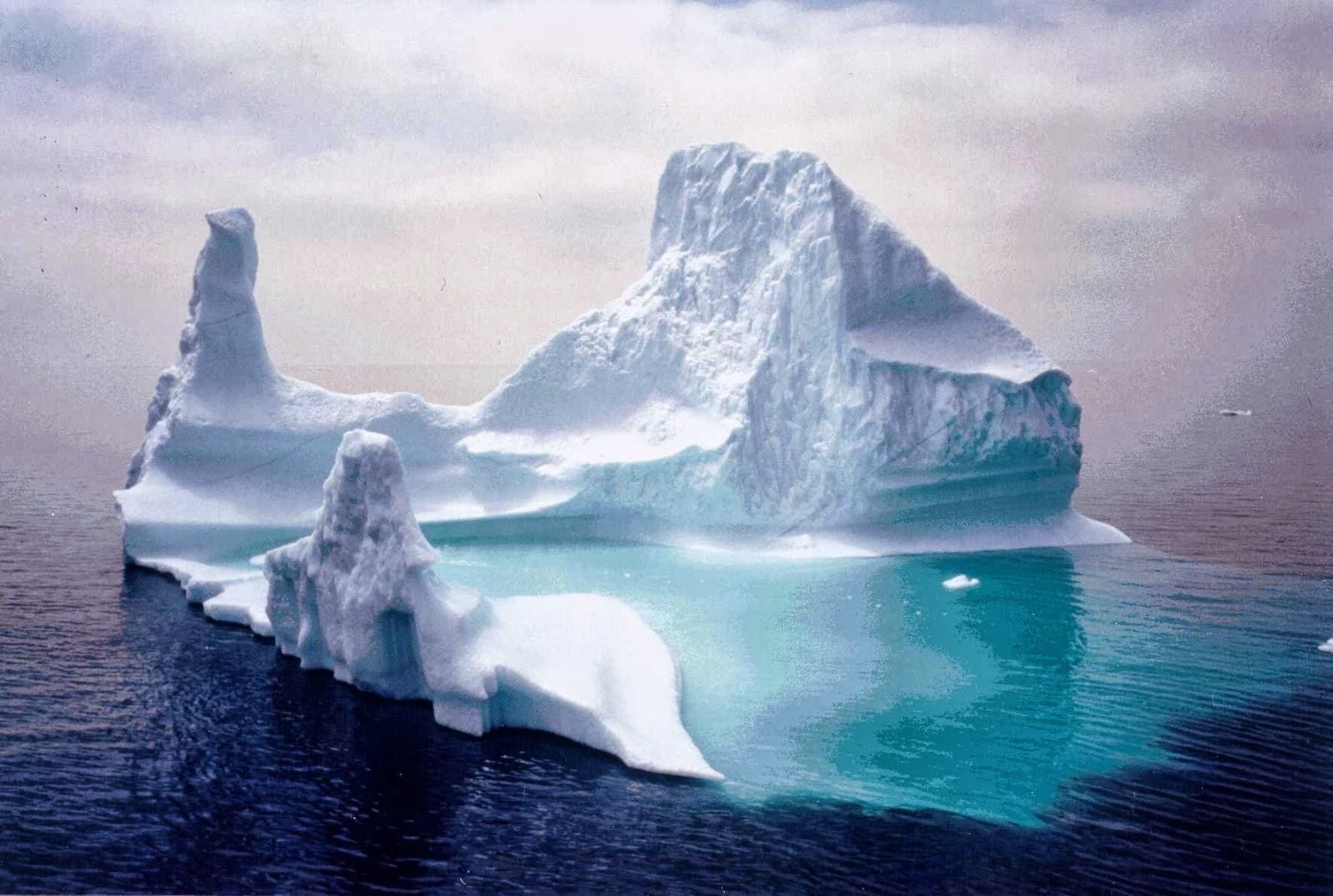 Andy foto natura: Iceberg
