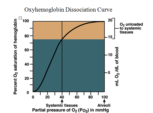 Doctors Network: Normal Values and Concentrations (Respiratory System)