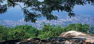 EL SILENCIO Y LA LOCURA: PARQUE NACIONAL EL VELADERO I