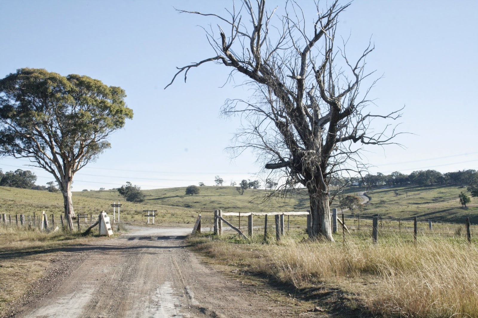 Zac and Adriaan's Tourism Adventure!
