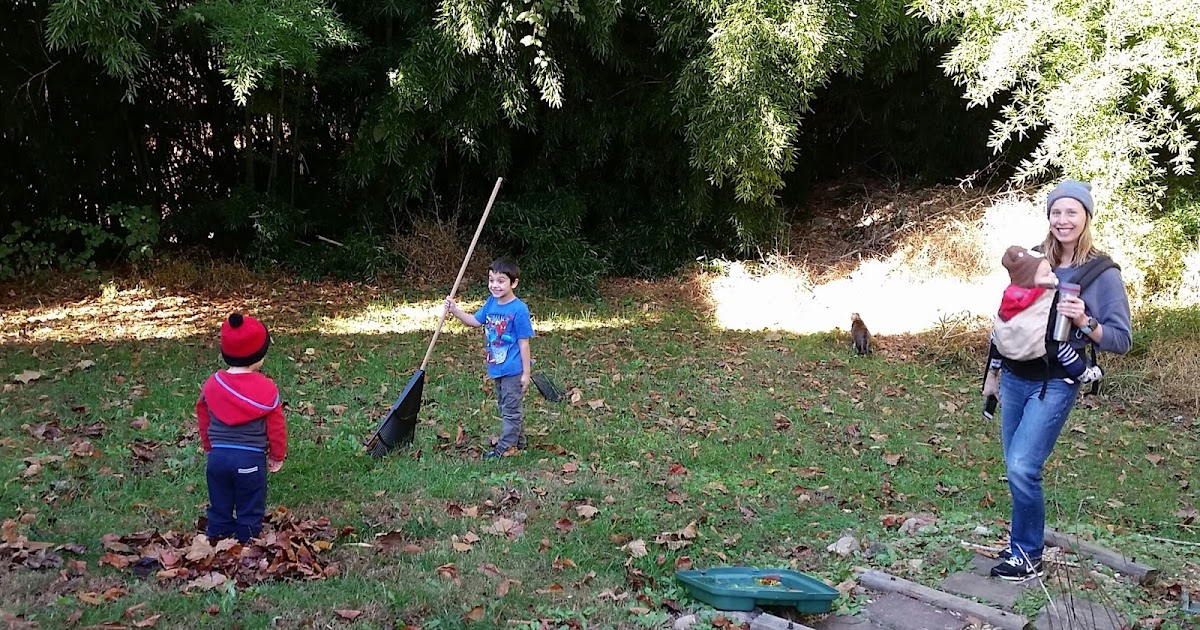 Steps on the Journey: Crazy Work Week for Carrie